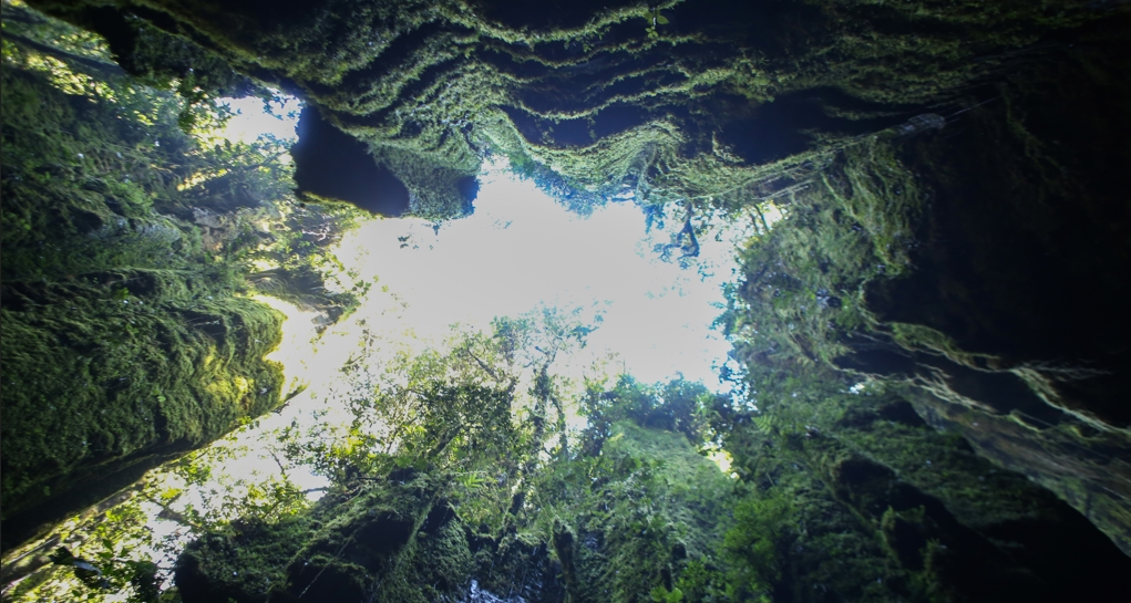 Bosques de Pandora -geoparque- un lugar para conectarse con la magia de ...