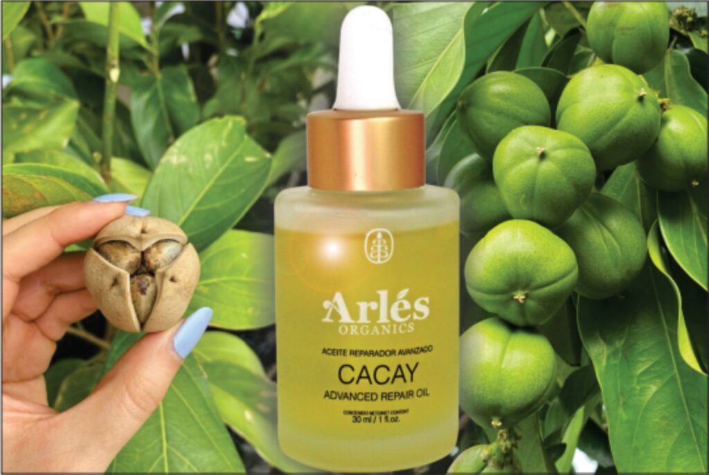 Aceite de Cacay el "Oro Líquido de la Amazonía" - Periódico Llano al ...