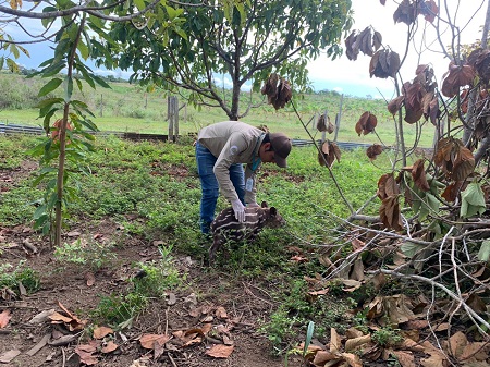 Cormacarena rechaza caso de maltrato a una danta en La Macarena ...