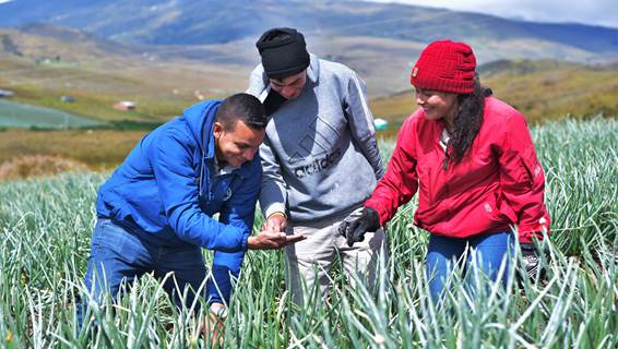 Herramientas claves en favor de la alimentación y la agricultura
