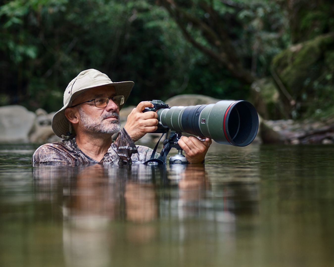 El Meta, apetecido por los pajareros en el Global Big Day