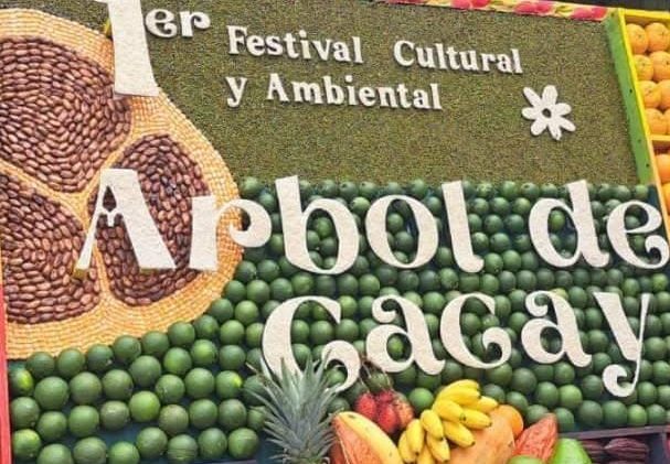 Hoy, lanzamiento de la cadena productiva de cacay en el Meta ...