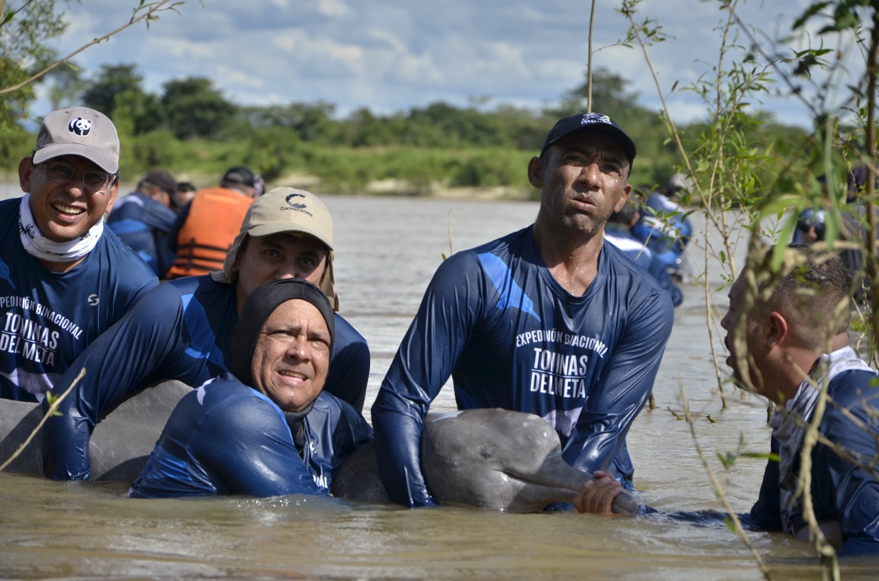 Un total de 155 especies de aves y 162 toninas, se analizaron durante ...