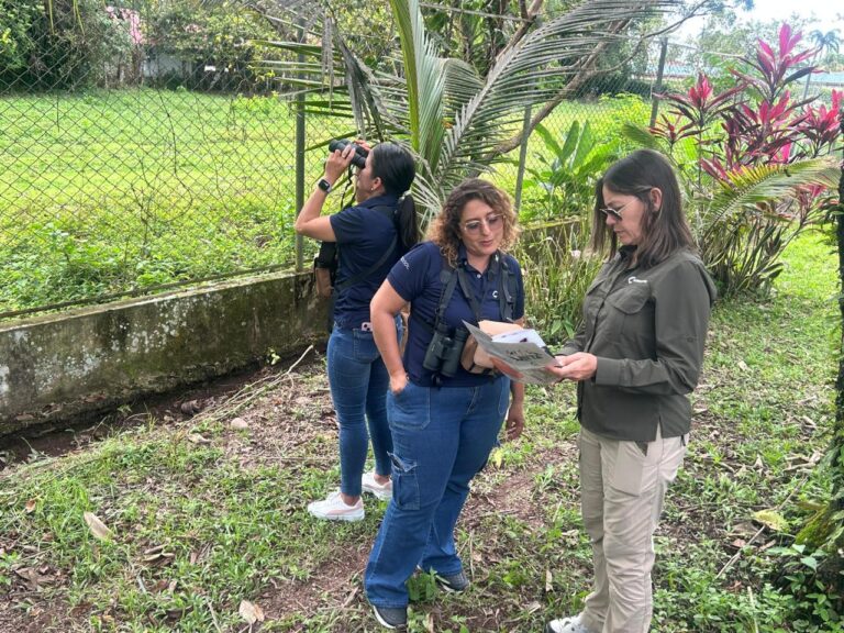 La diversidad de aves del Meta brillará en el October Big Day